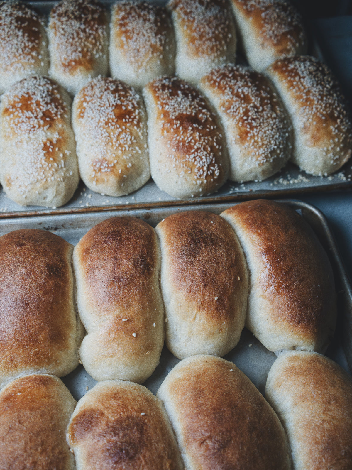 MAY 27 | HOT DOG BUNS - 6 PACK | Team Rose Bread