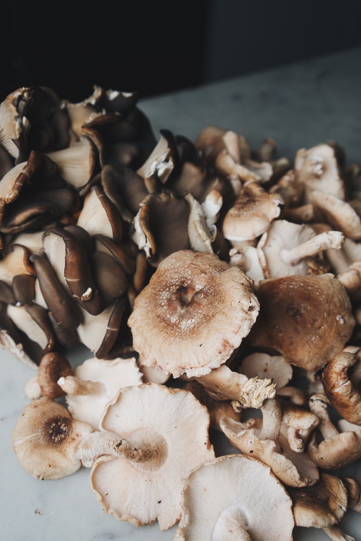 AUGUST 30 | LOCAL MUSHROOMS - 1 LB | Team Rose Bread