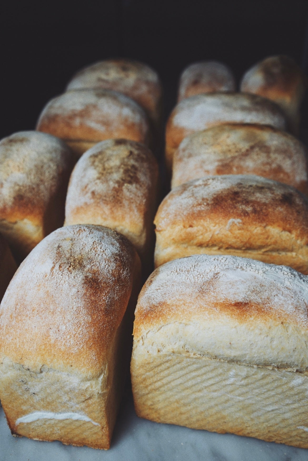 OCTOBER 7 | CRUSTY WHITE SOURDOUGH SANDWICH | Team Rose Bread