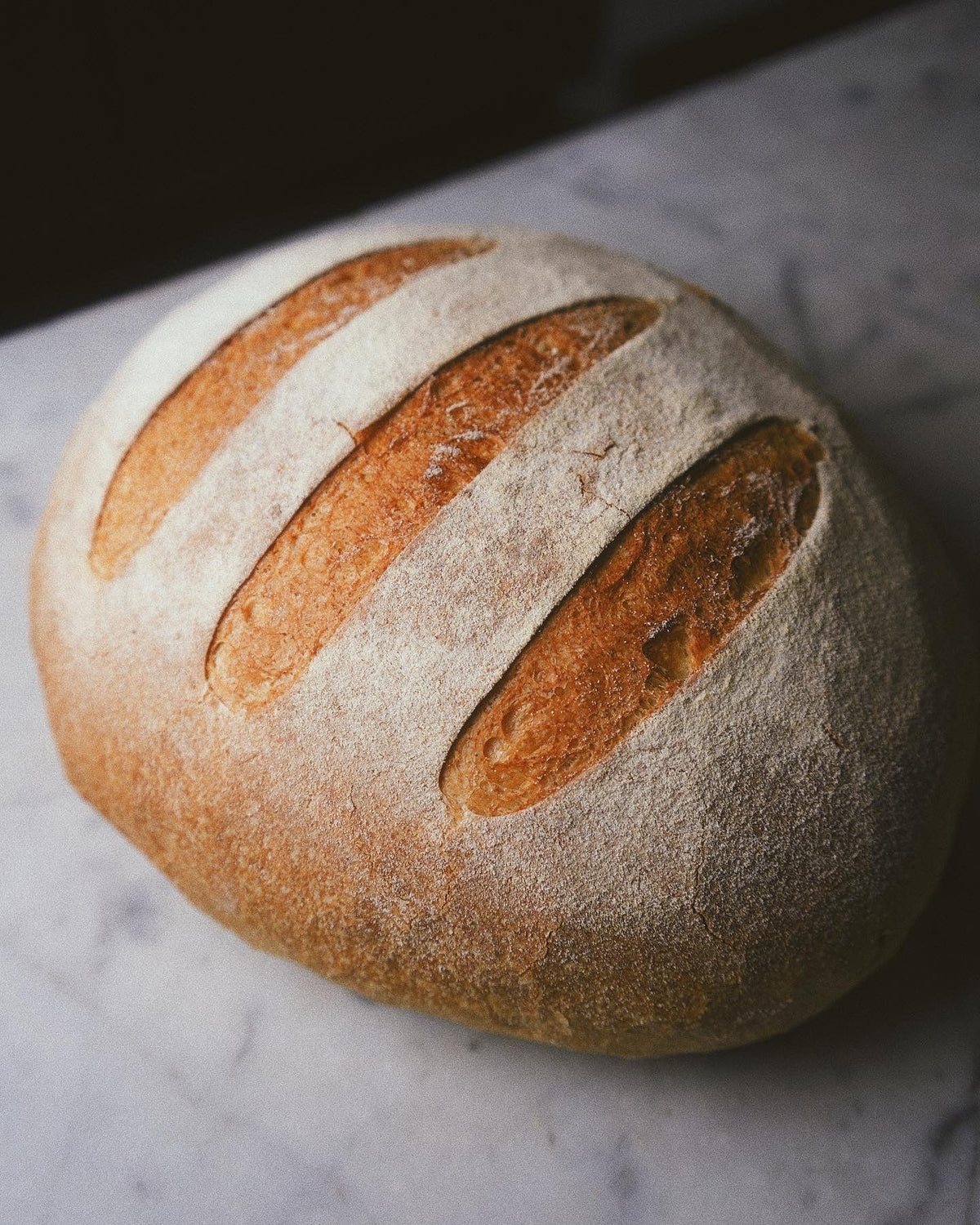 FEB 21 | CRUSTY WHITE ITALIAN BREAD | Team Rose Bread