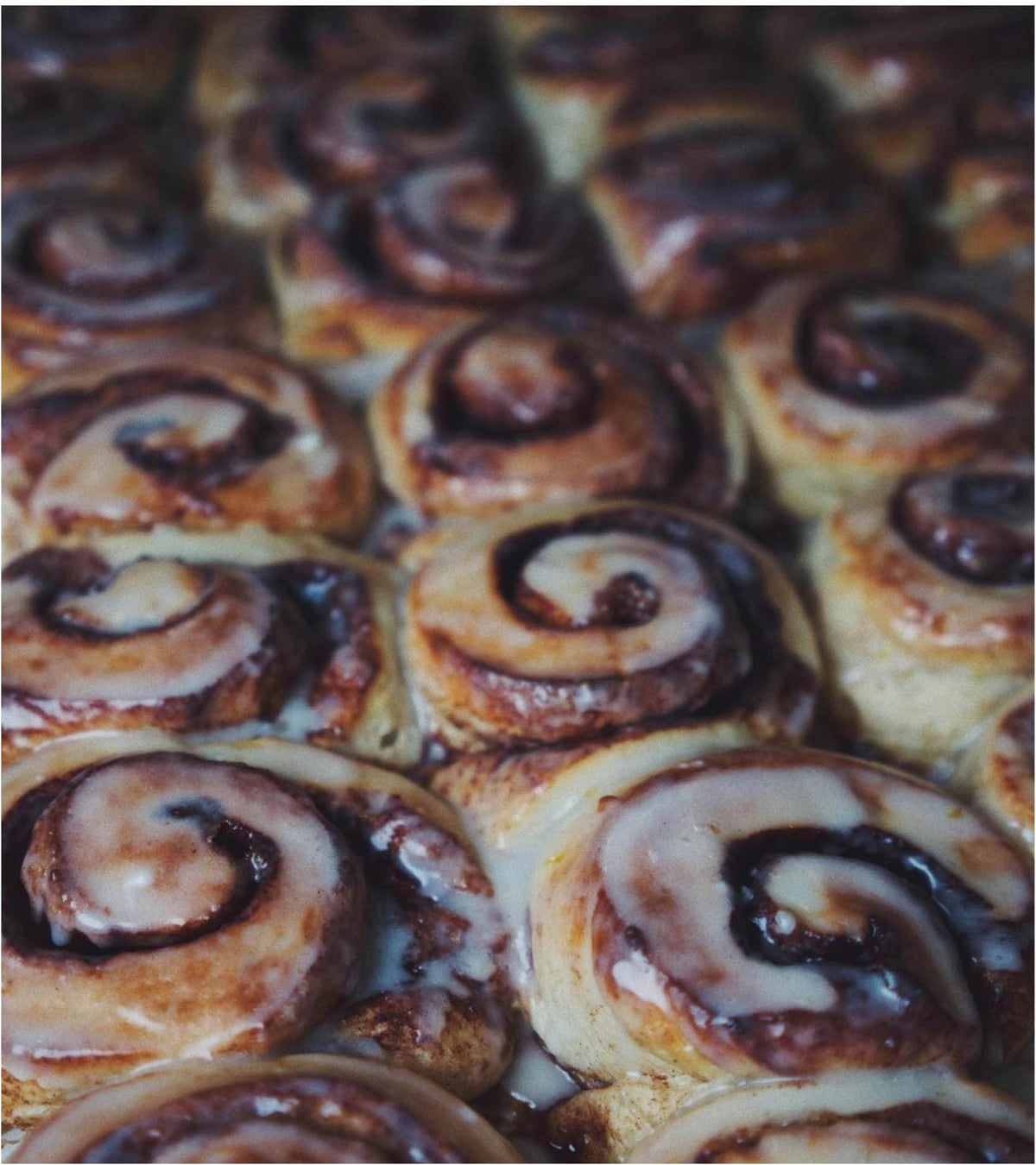 DEC 24 | TAKE AND BAKE CINNY ROLLS - 4 PACK | Team Rose Bread